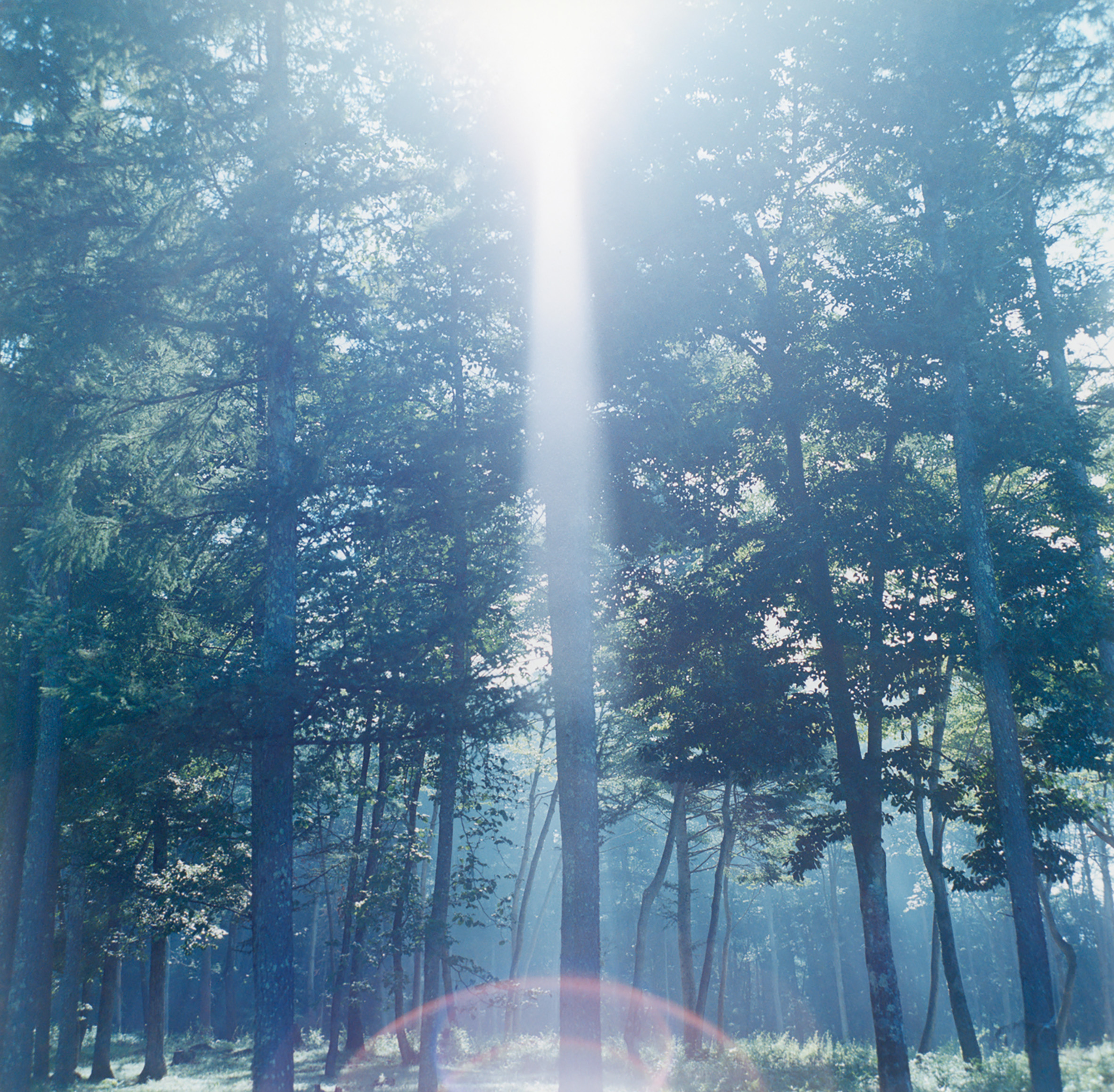 Illuminating the everyday: Rinko Kawauchi named the 2023 Outstanding Contribution to Photography ...